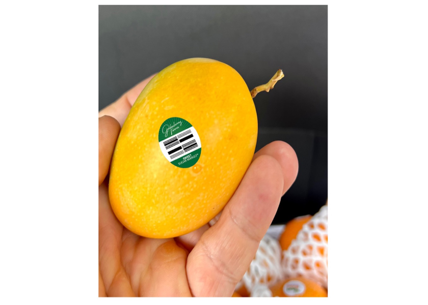 Goldenberry Farms files suit on trademark infringement | The Packer