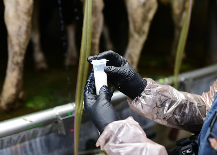 Auburn Veterinarian and Animal Health Researcher Weigh In on HPAI A ...