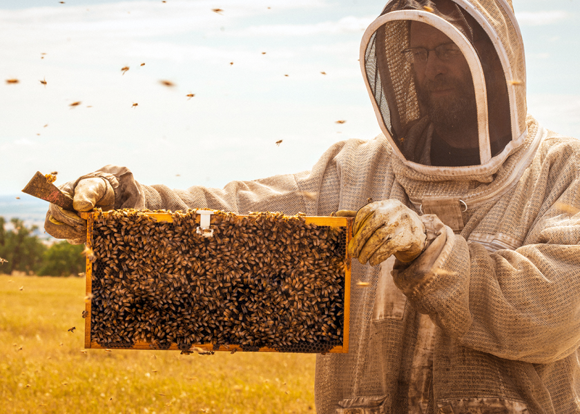 BeeHero takes growers inside the hive | The Packer