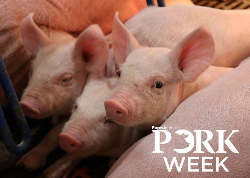 Three's a Trend: What Will Make Headlines in June Hogs & Pigs Report?