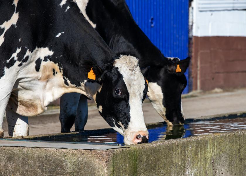 Where There’s Water, there is a Way for Dairy | Dairy Herd
