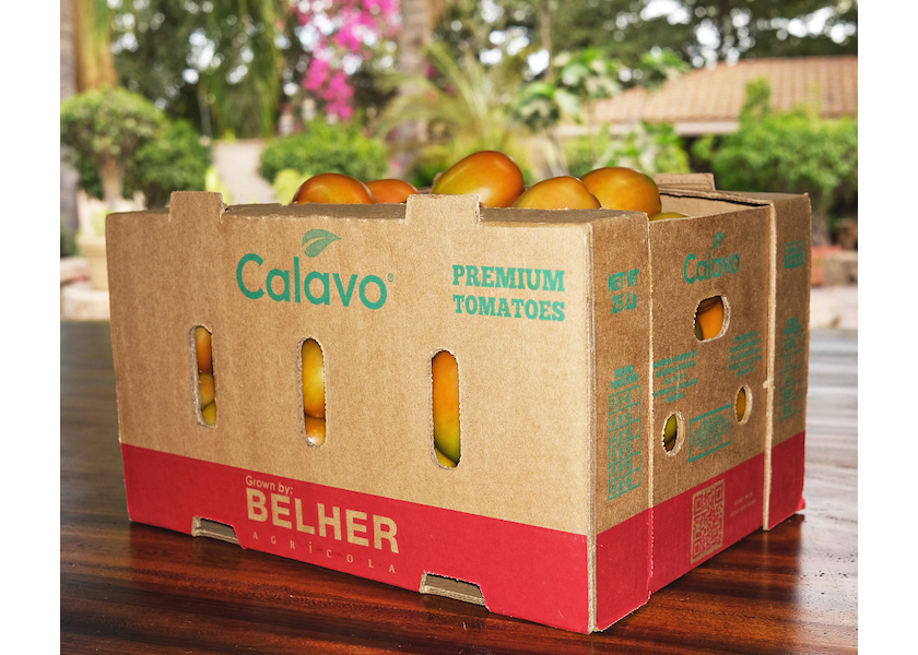Calavo, Agrícola Belher mark 17 years of partnership with co-branded ...