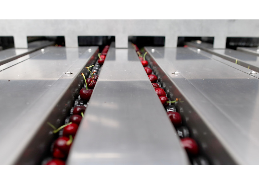 Cherry packers see benefits from deep-learning technology | The Packer