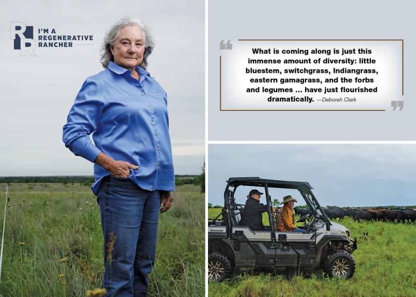 I'm A Regenerative Rancher: Deborah Clark, Birdwell & Clark Ranch | Drovers