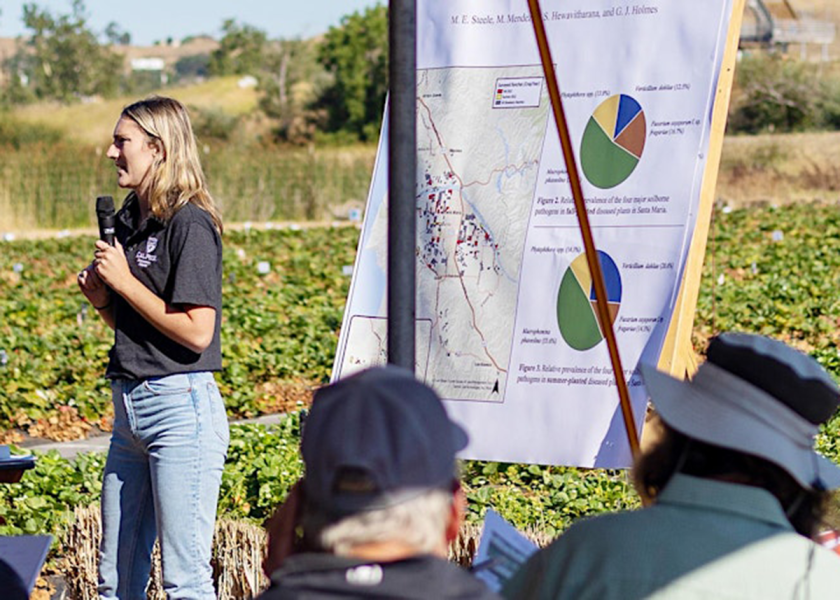Strawberry field day set for Aug. 8 | The Packer