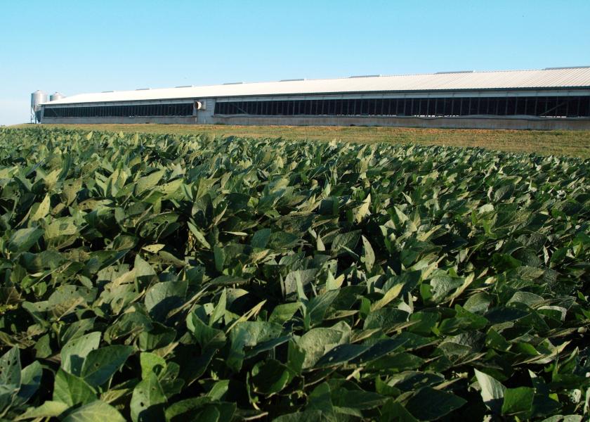 United Soybean Board Sets Priorities to Support Livestock Industry ...