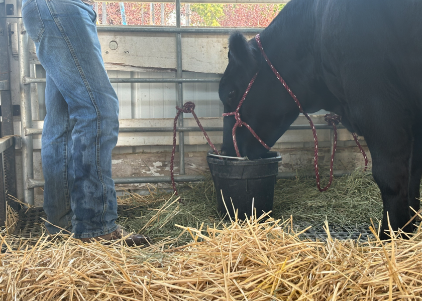 Remember Biosecurity Practices As You Exhibit Animals at Shows and ...