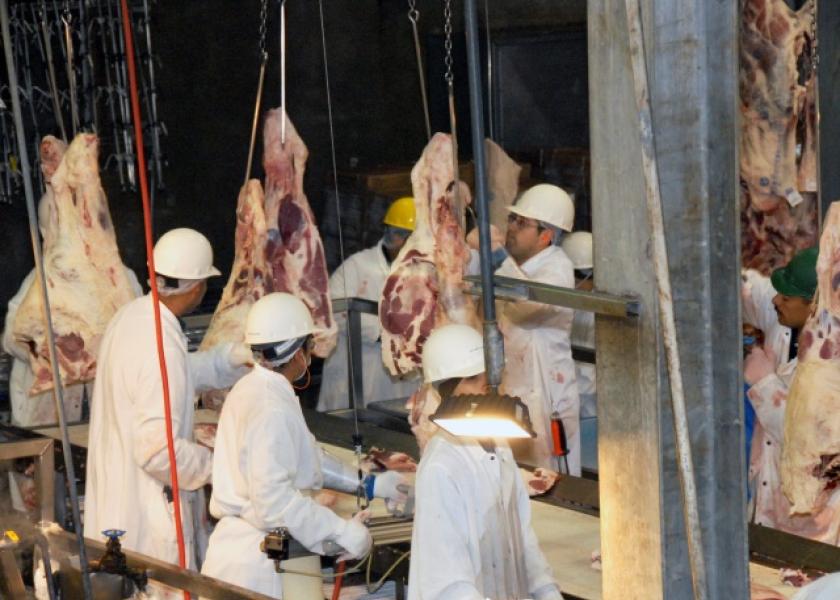 Speer: Writing On The Wall | Drovers