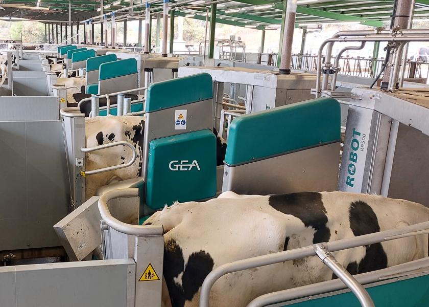 5 Reasons Why You Should Consider Robotic Batch-Style Milking ...