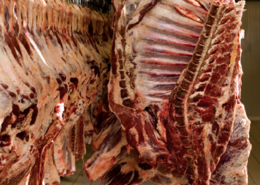 Birdshot in Beef: A Hidden Defect | Drovers