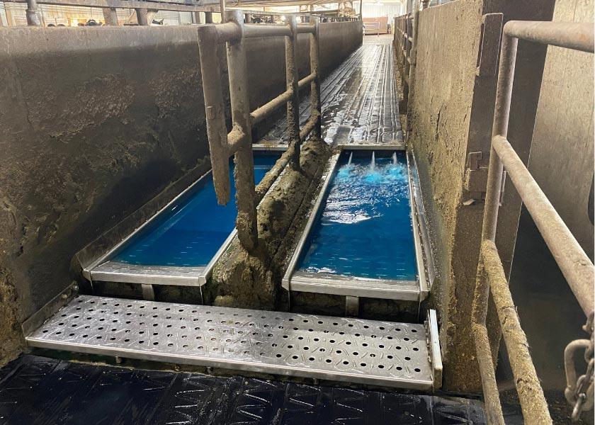 Does your dairy need a hoof bath upgrade? Meet the company doing it for ...