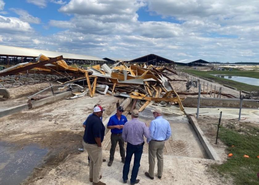 Battling the Aftermath: Florida’s Dairy Industry Struggles to Recover ...