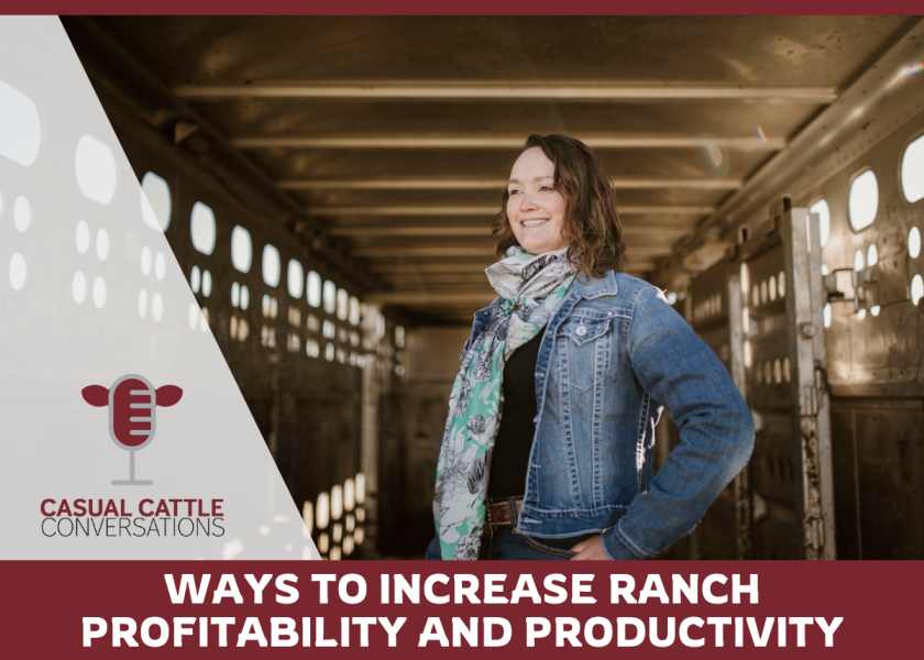 Ways to Improve Profitability and Productivity for Cattle Producers ...