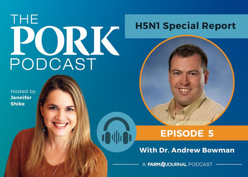 Influenza Expert Gets Real About the H5N1 Risk to Your Swine Herd ...