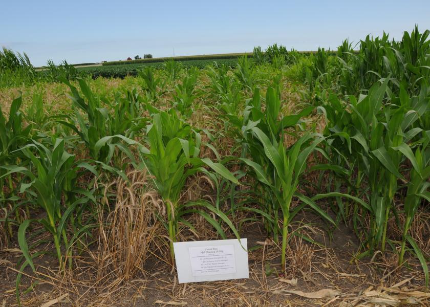 Cover Crops Can Help With Post-Flooding Restoration | AgWeb
