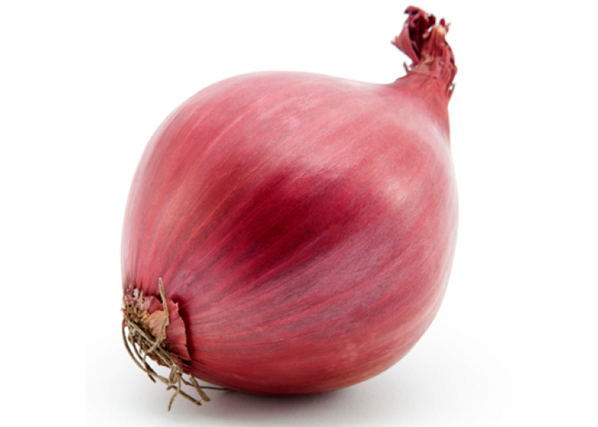 Sysco recalls red onions in Canada in salmonella outbreak | The Packer