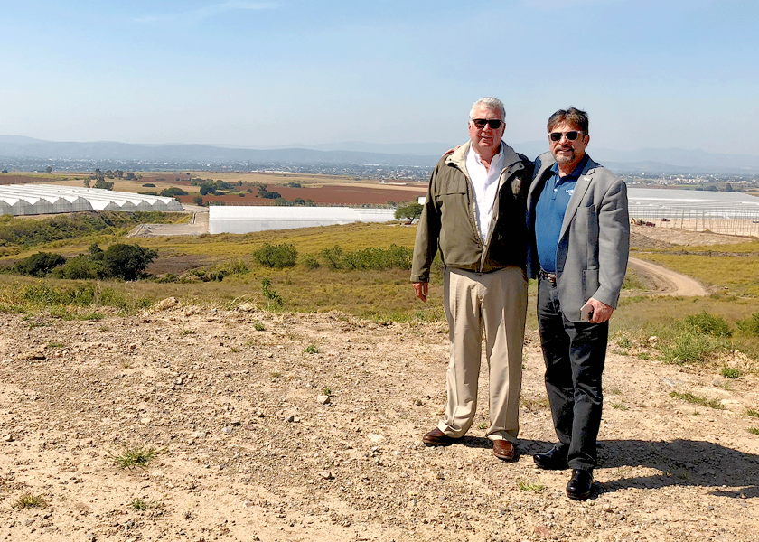 Village Farms inks deal with Mexican greenhouse grower | The Packer