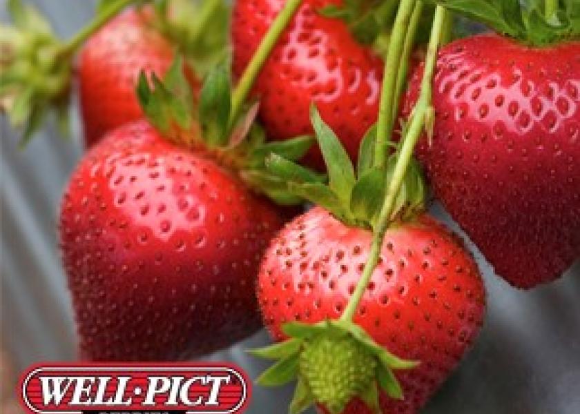 Sponsored by Well-Pict: Keep Cool All Summer Long! | The Packer