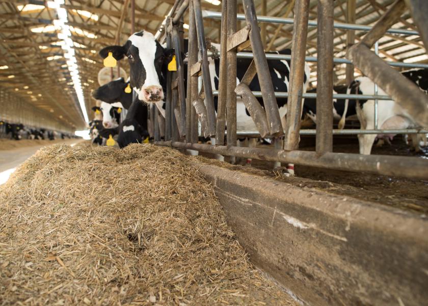 When to Use Silage Additives or Inoculants | Dairy Herd