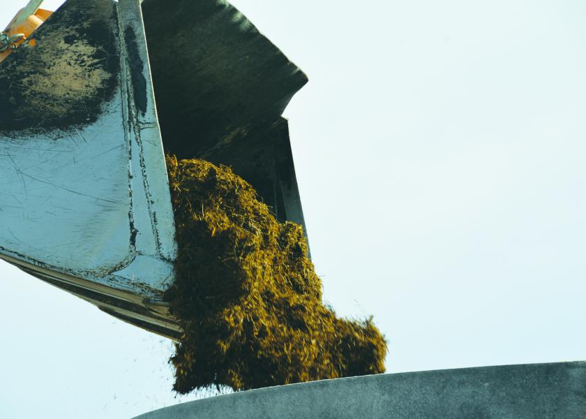 Magnesium: The Most Critical Mineral | Dairy Herd Magnesium: The Most Critical Mineral | Dairy Herd