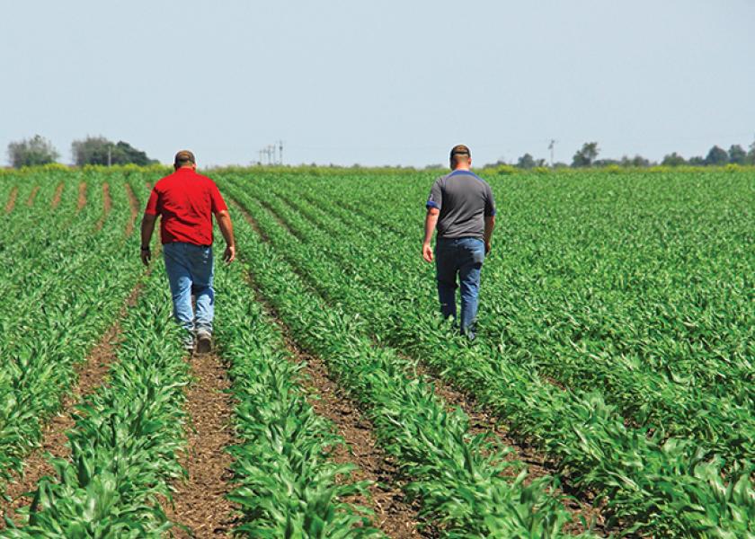 5 Ways To Be A Better Scout | AgWeb