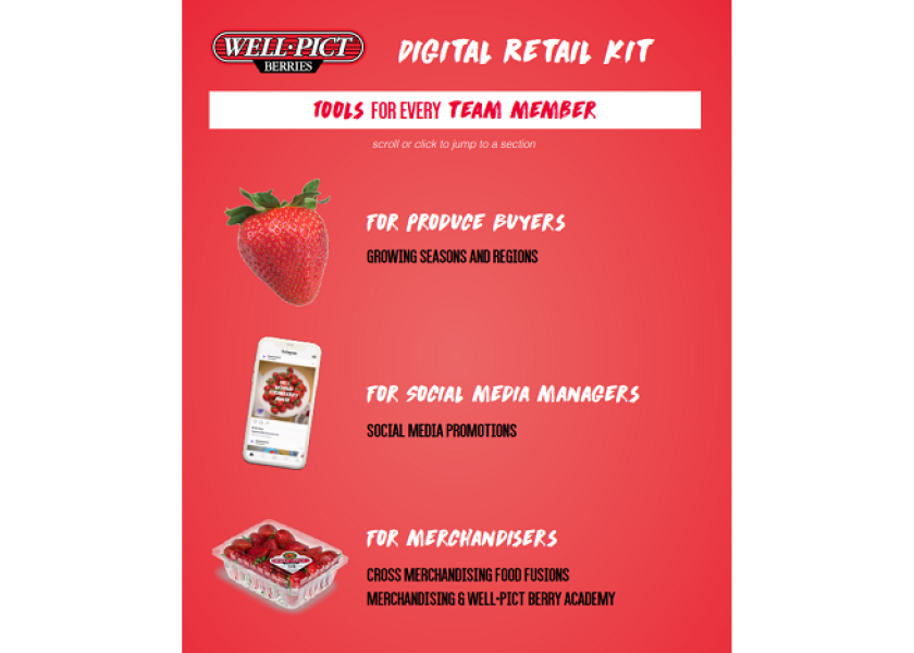 Well-Pict offers digital kit to boost online berry retail sales | The ...