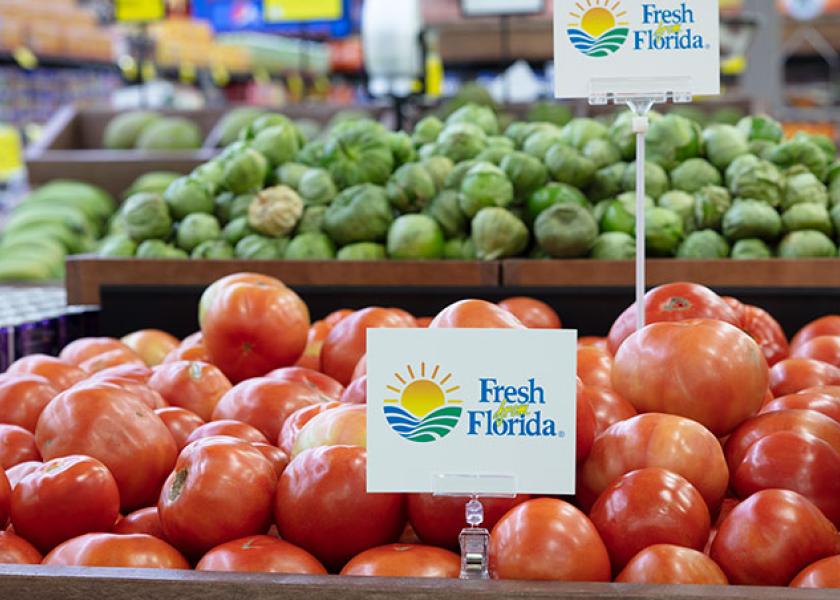 Florida tomatoes enjoy good growing season | The Packer