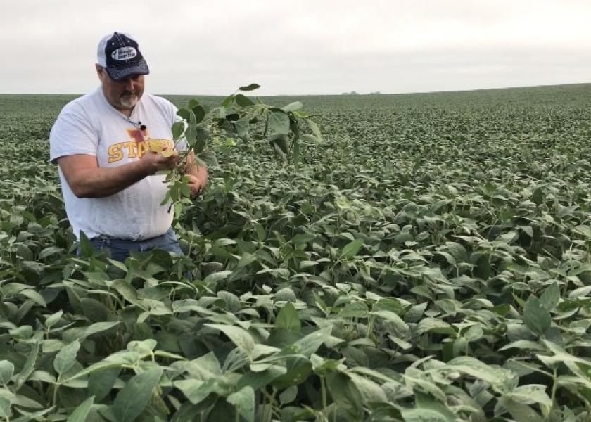 Crop Tour's Good, Bad and Unforgettable | AgWeb