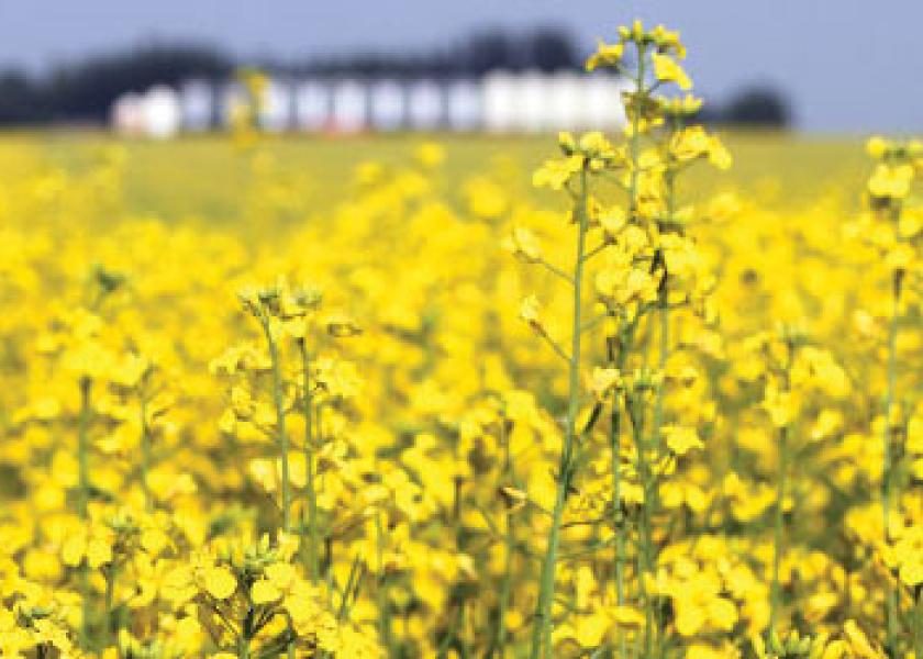 Canada Farmers Seen Planting Early With Warmer Spring Weather | AgWeb
