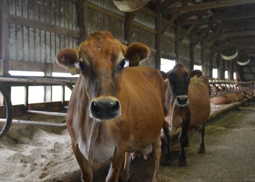 Identify Your Facility Bottlenecks | Dairy Herd Identify Your Facility Bottlenecks | Dairy Herd