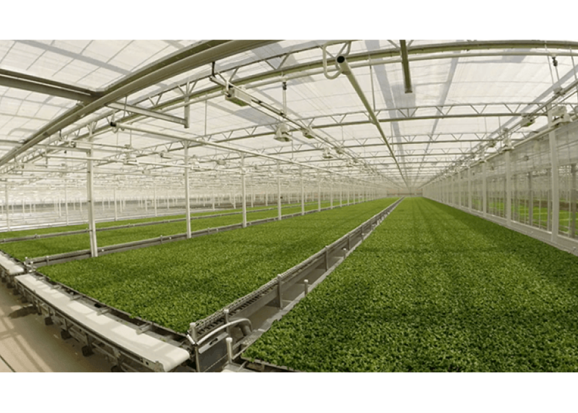 Little Leaf Farms hosts virtual grand opening, tour | The Packer