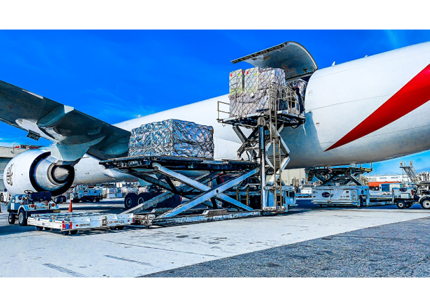 HPL-Apollo celebrates 10th anniversary | The Packer