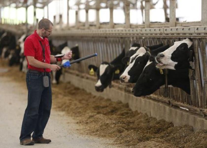 Wisconsin State Firm Develops Fitbit-like Device for Cows | Dairy Herd