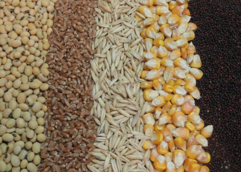 International Grains Council Cuts 2021-22 World Soybean, Corn ...