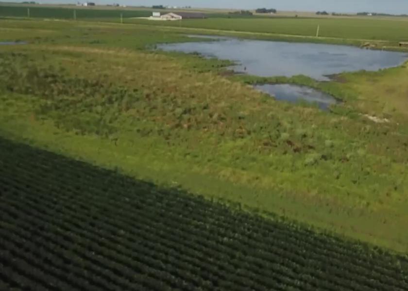 Missouri Pig Farmer On the Road to Recovery One Year After PRRS ...