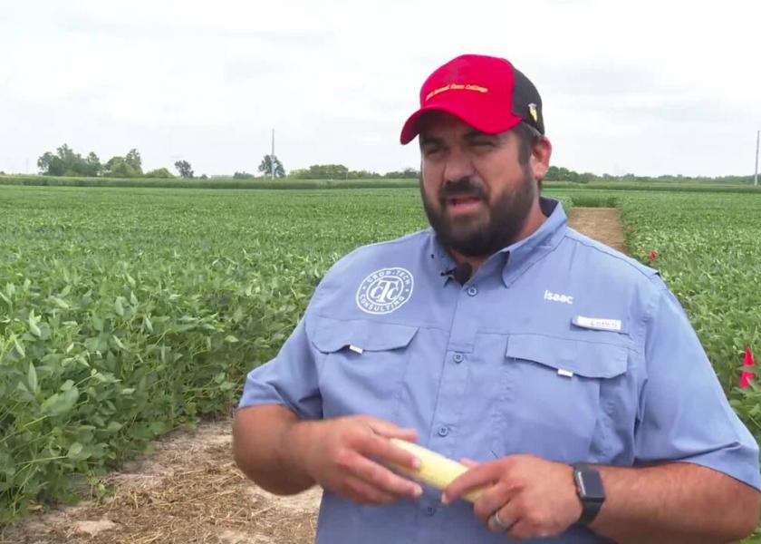 Win the Furrow: Pump up High Yields Focusing on Ear Flex in Corn | AgWeb