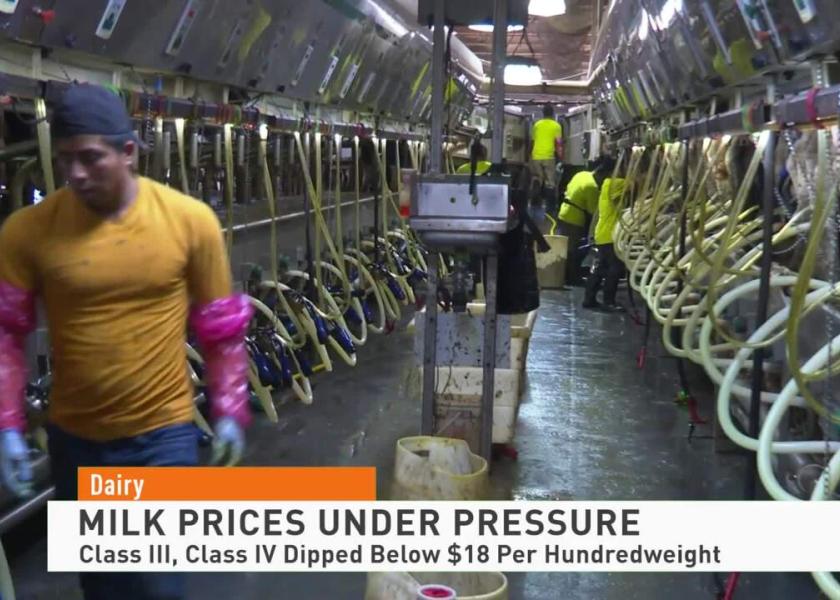 Dairy Report: Milk Prices Remain Under Pressure | Dairy Herd
