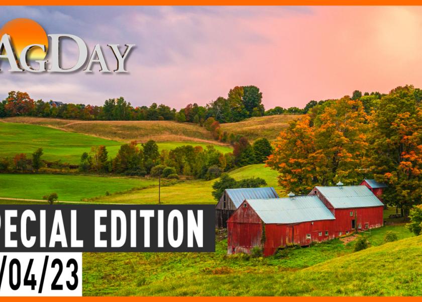 Meet 4 Women in Agriculture Who are Crushing Stereotypes | AgWeb