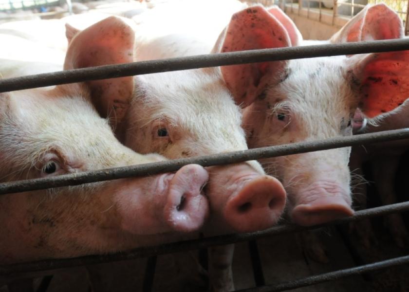 Manure from Millions of Hogs Fuels Natural Gas Project | Pork Business