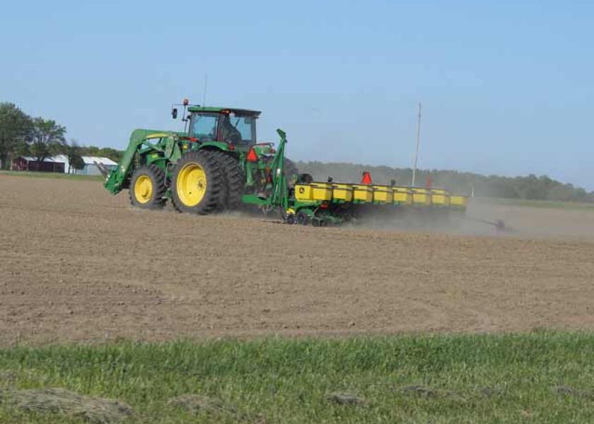 Should You Be Planting BMR Corn? | Dairy Herd
